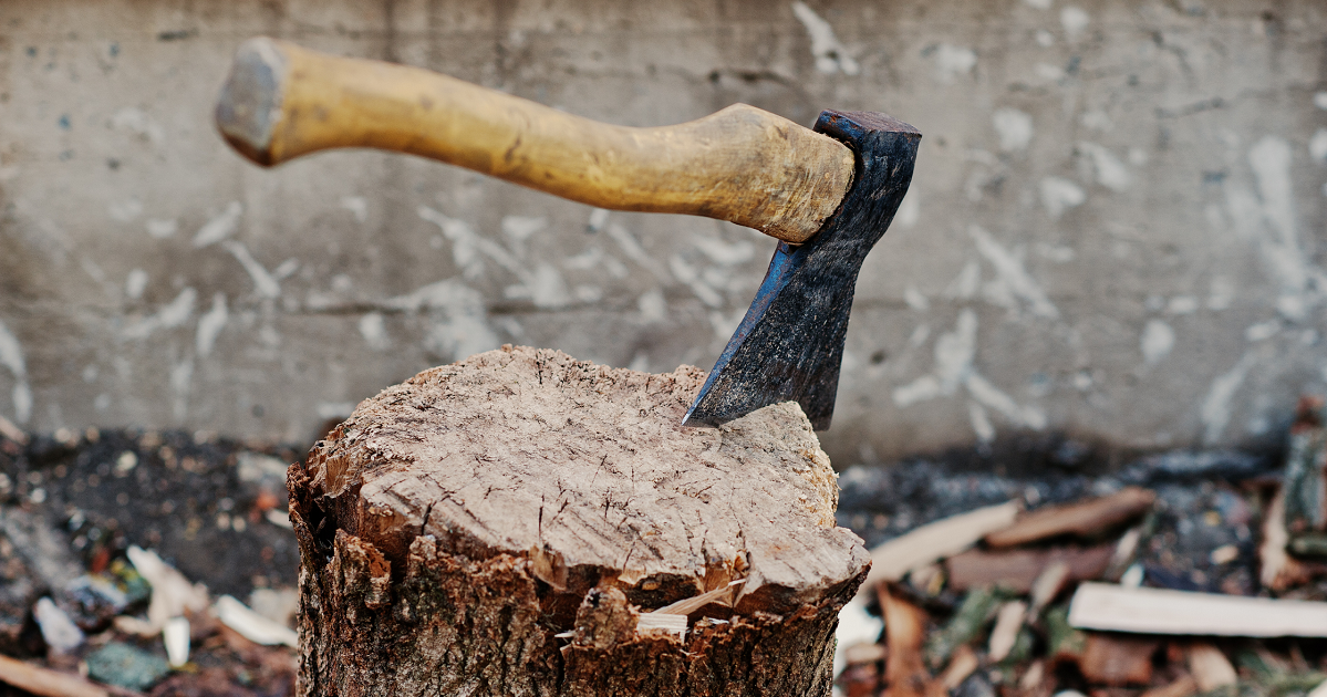 Houdt kapvergunning voor 267 bomen langs het spoor Eindhoven-Den Bosch ...